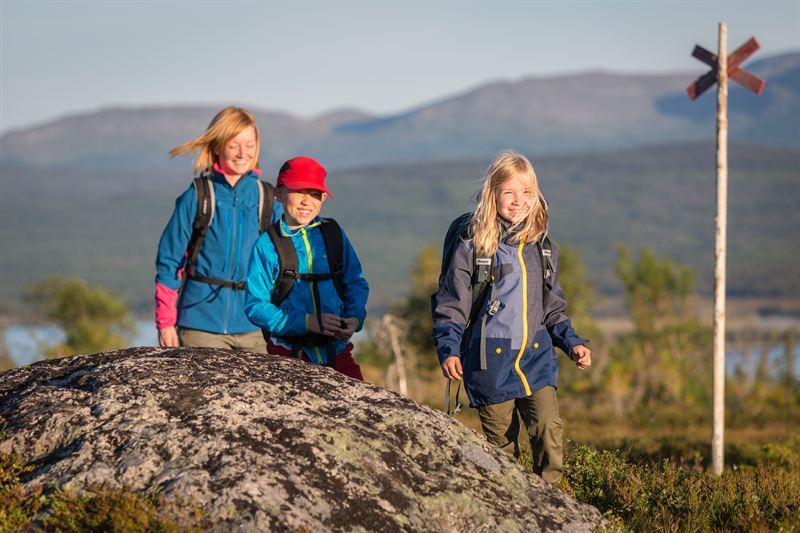 Så ser svenskarnas friluftsliv ut - Utsidan Så ser svenskarnas friluftsliv ut - Utsidan